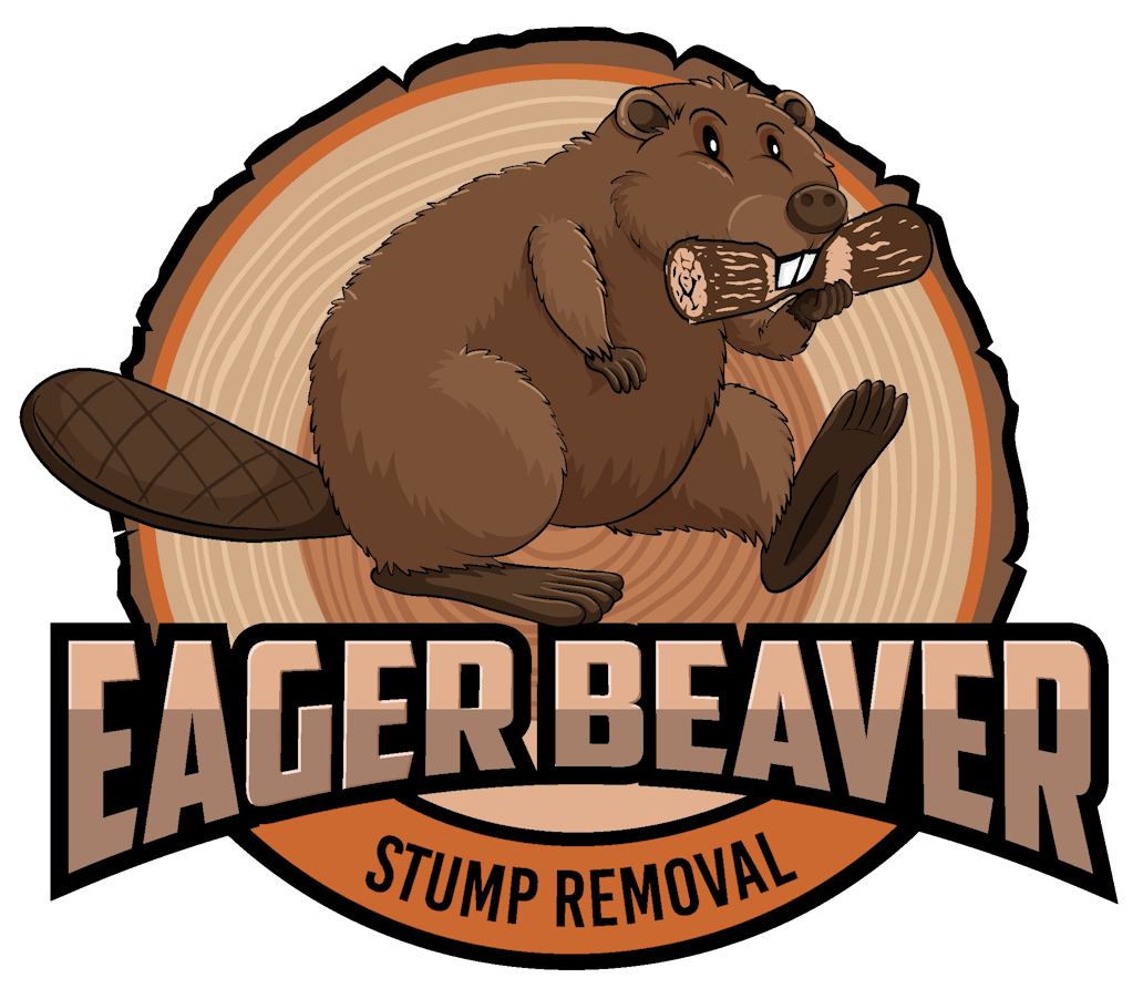 Eager Beaver Stump Removal – Proudly serving Alachua County and ...